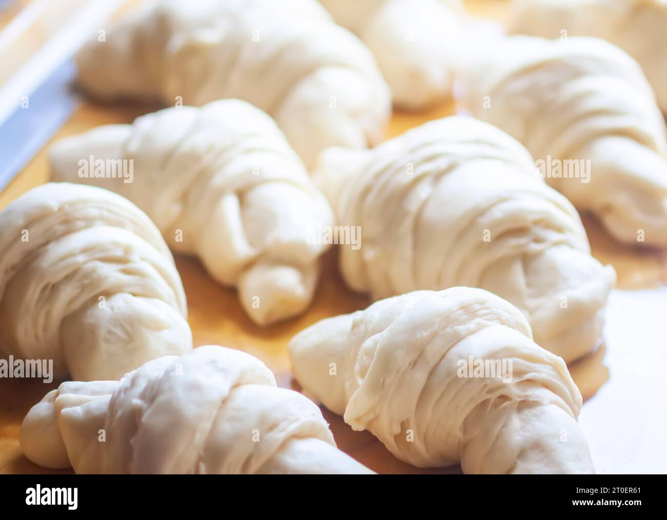 Raw croissant rolls in baking process Stock Photo - Alamy