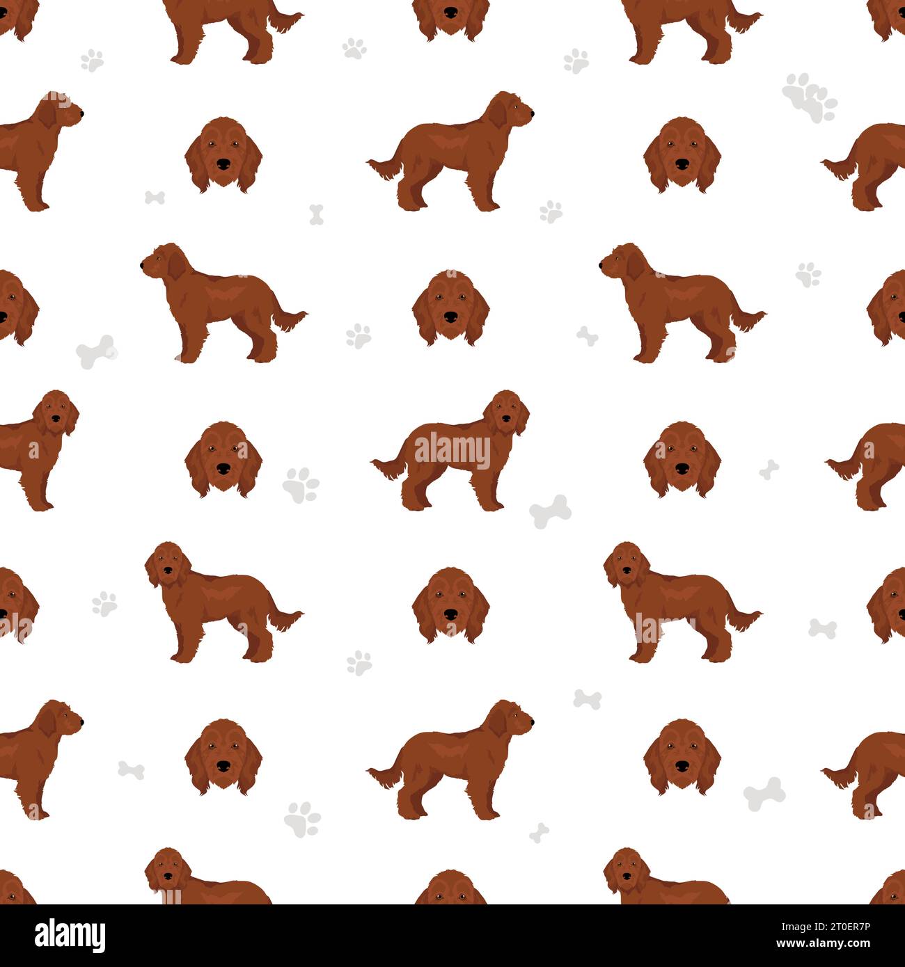 Irishdoodle seamless pattern. Irish Setter Poodle mix. Different coat ...