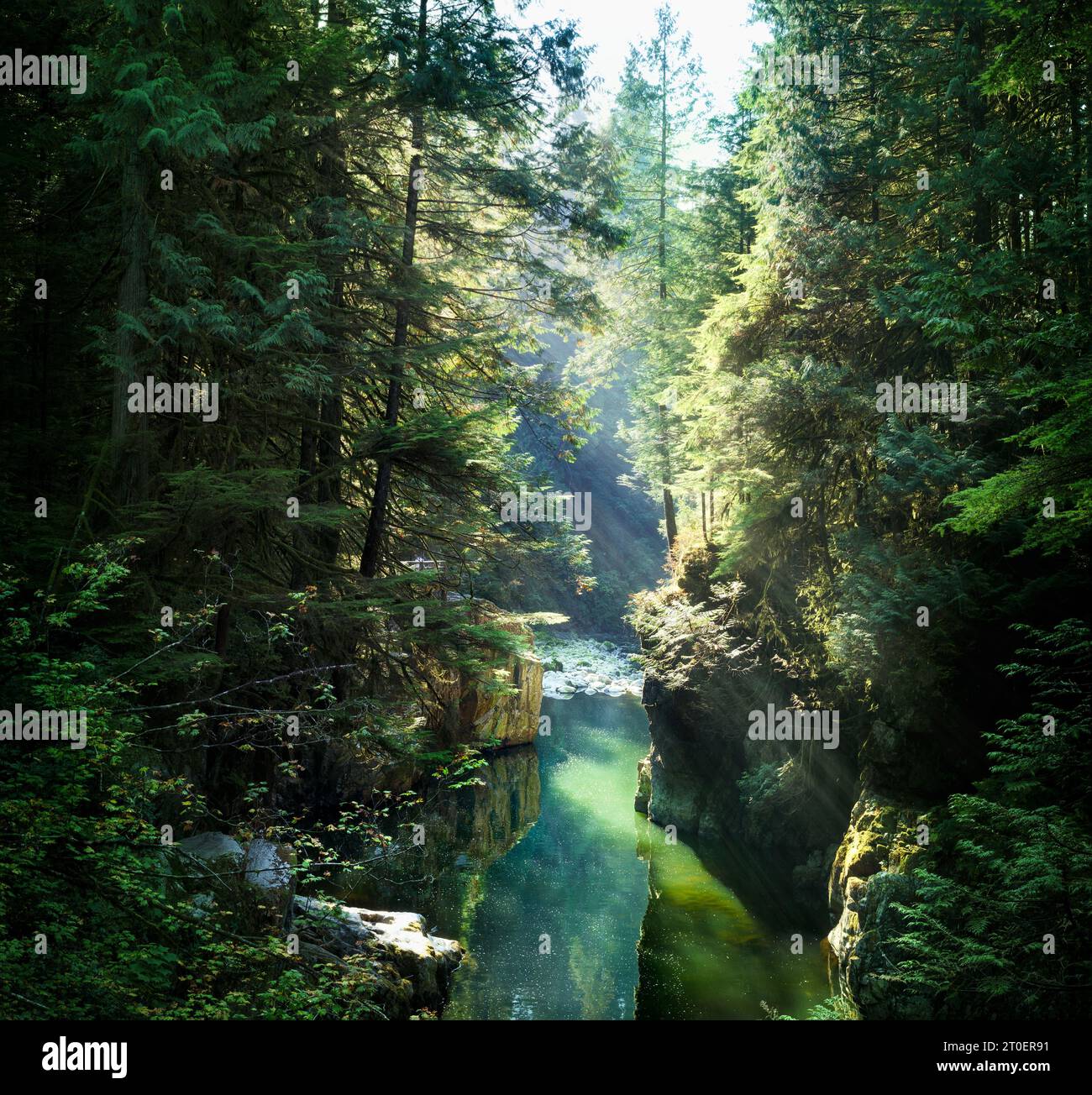 Scenic narrow canyon in forest with river, cliffs, trees and sun rays ...