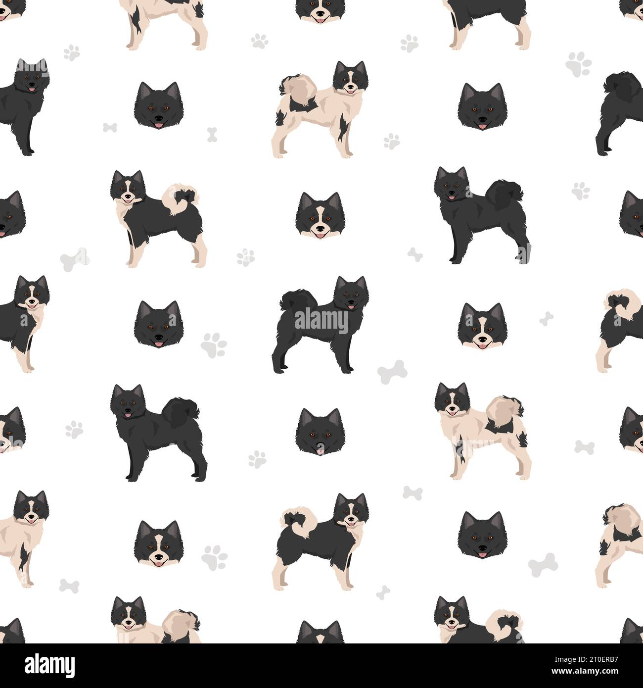 Nenets Herding Laika seamless pattern. All coat colors set.; All dog ...