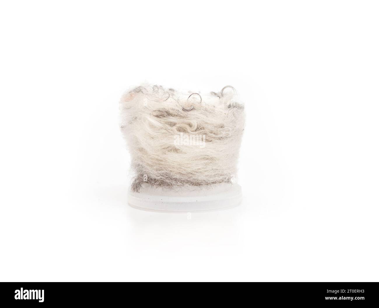 Small vacuum filter with pile of pet fur, hair and dust debris. Full ...