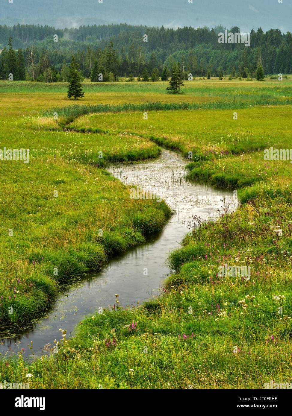 Rolling upland landscape hi-res stock photography and images - Alamy