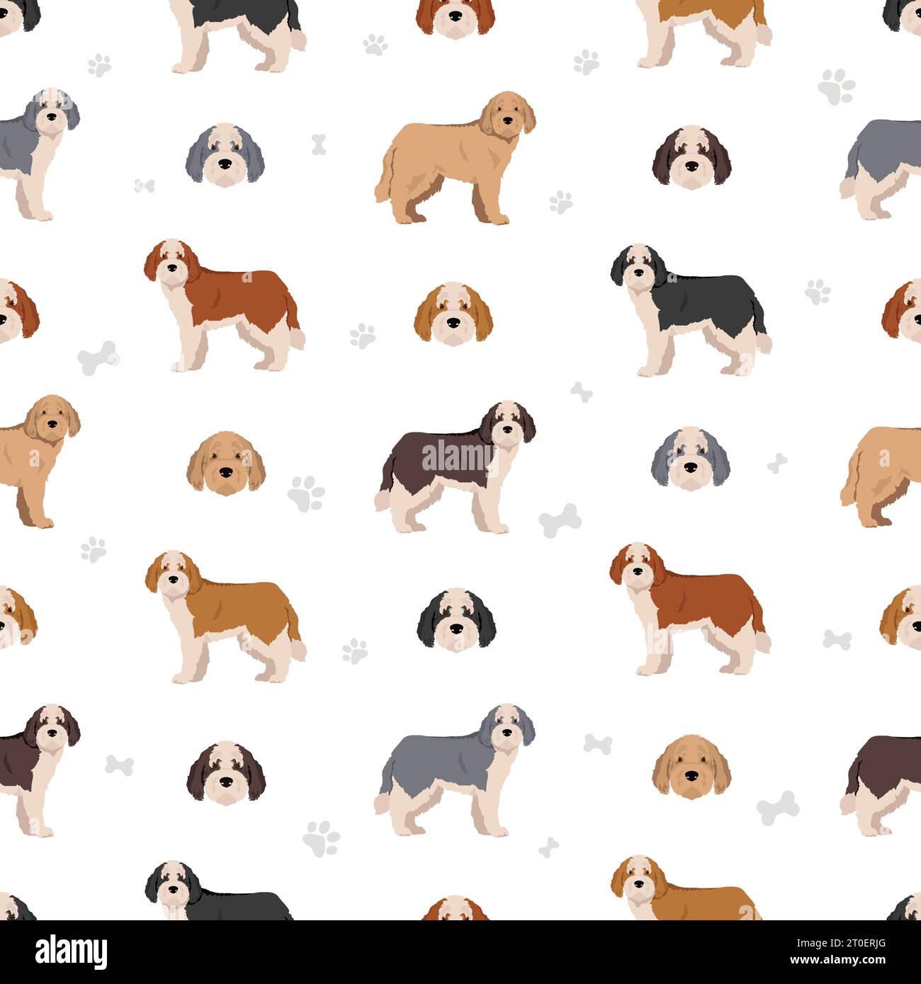 Saint Berdoodle seamless pattern. Saint Bernard Poodle mix. Different ... Saint Berdoodle seamless pattern. Saint Bernard Poodle mix. Different ...