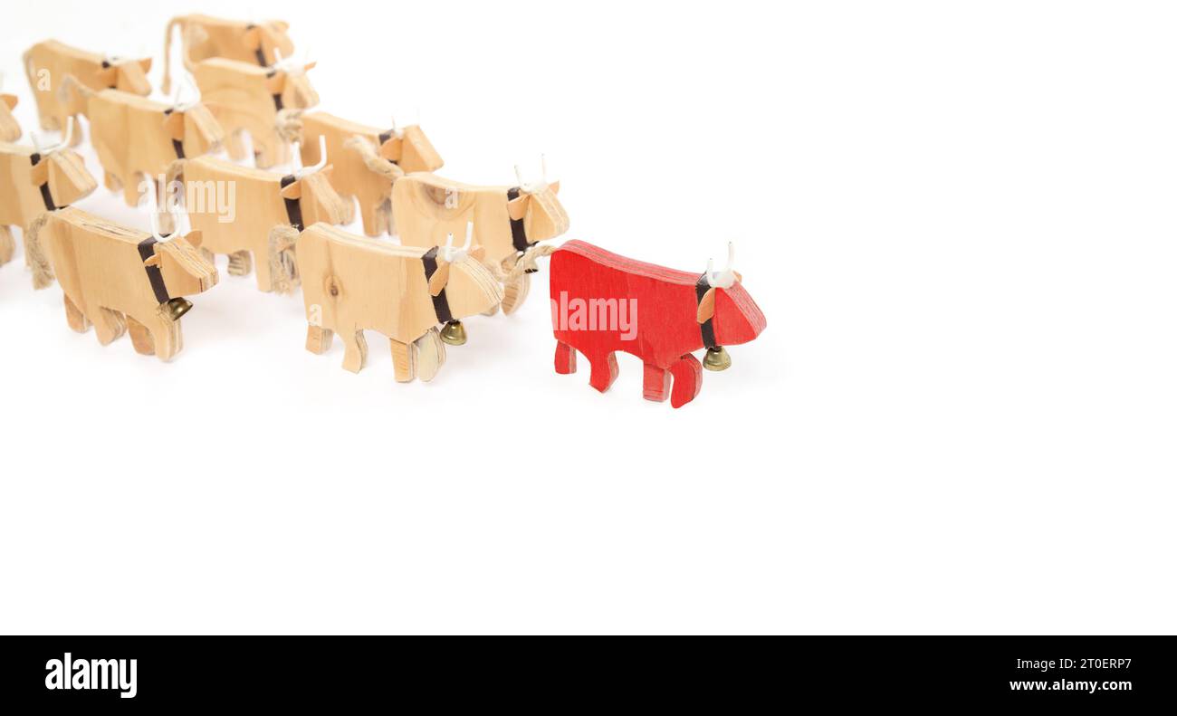 Red cow in front of a group of cows forming an arrow from top left to ...