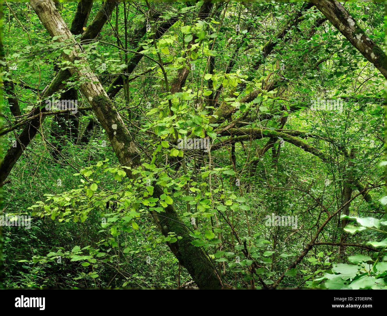 Alluvial field hi-res stock photography and images - Alamy