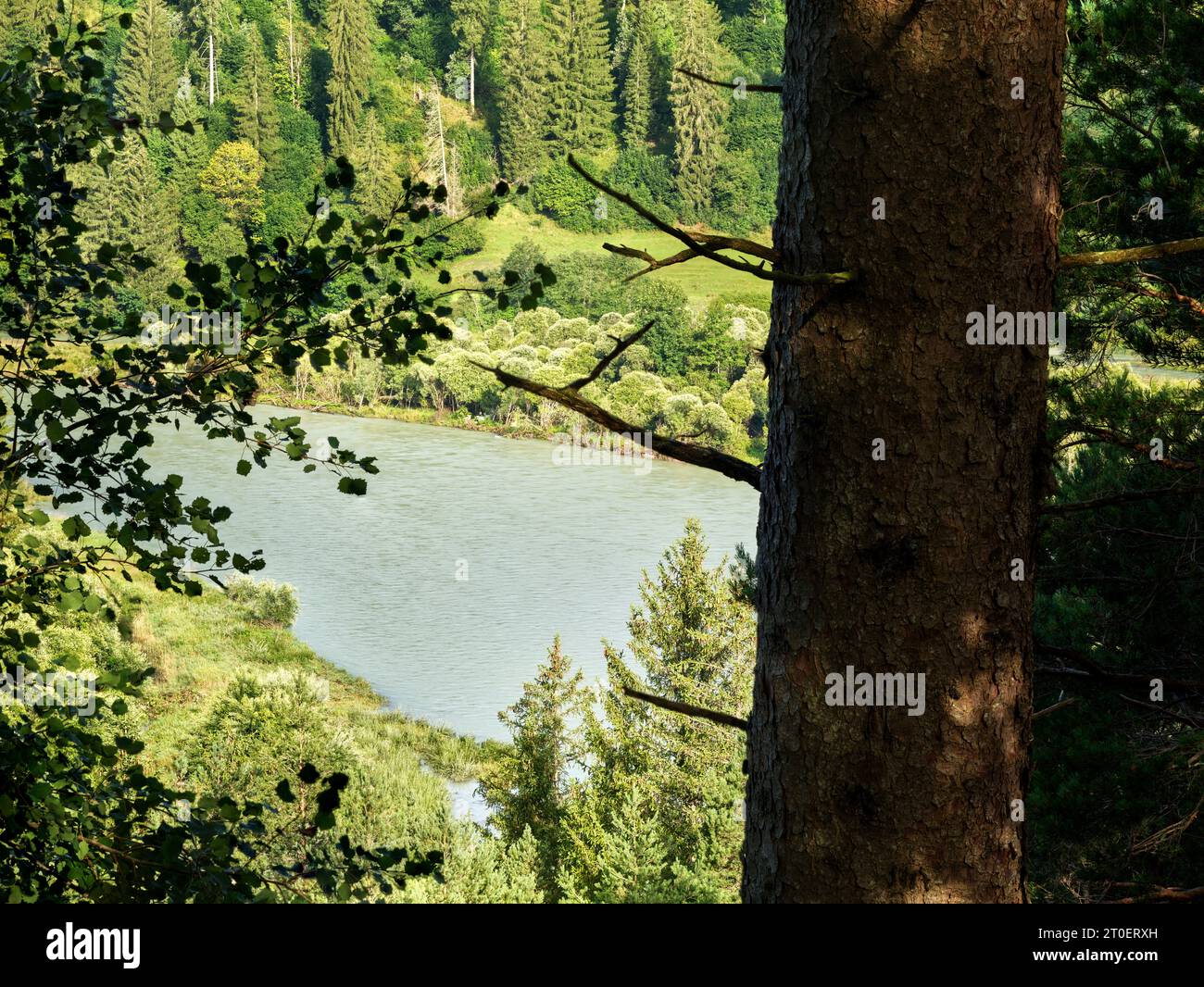 At the Litzau loop above Burggen Stock Photo - Alamy