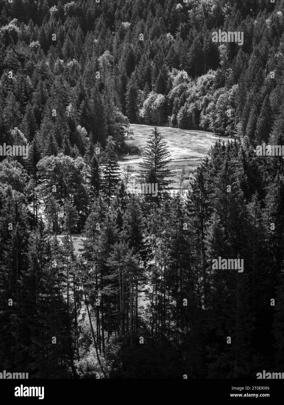 At the Litzau loop above Burggen Stock Photo - Alamy