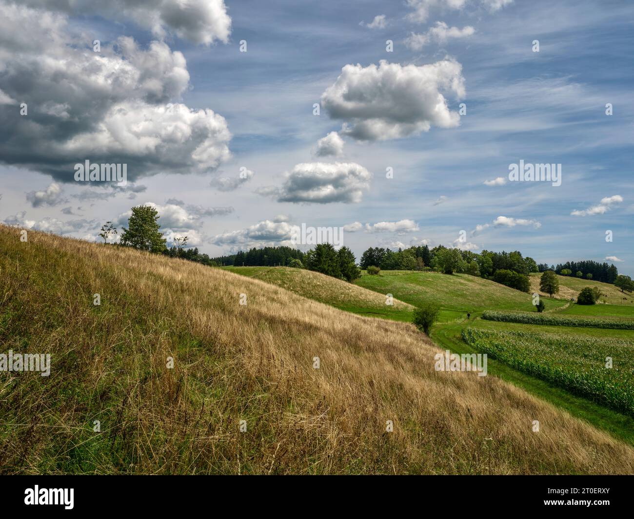 Lechtal road hi-res stock photography and images - Alamy