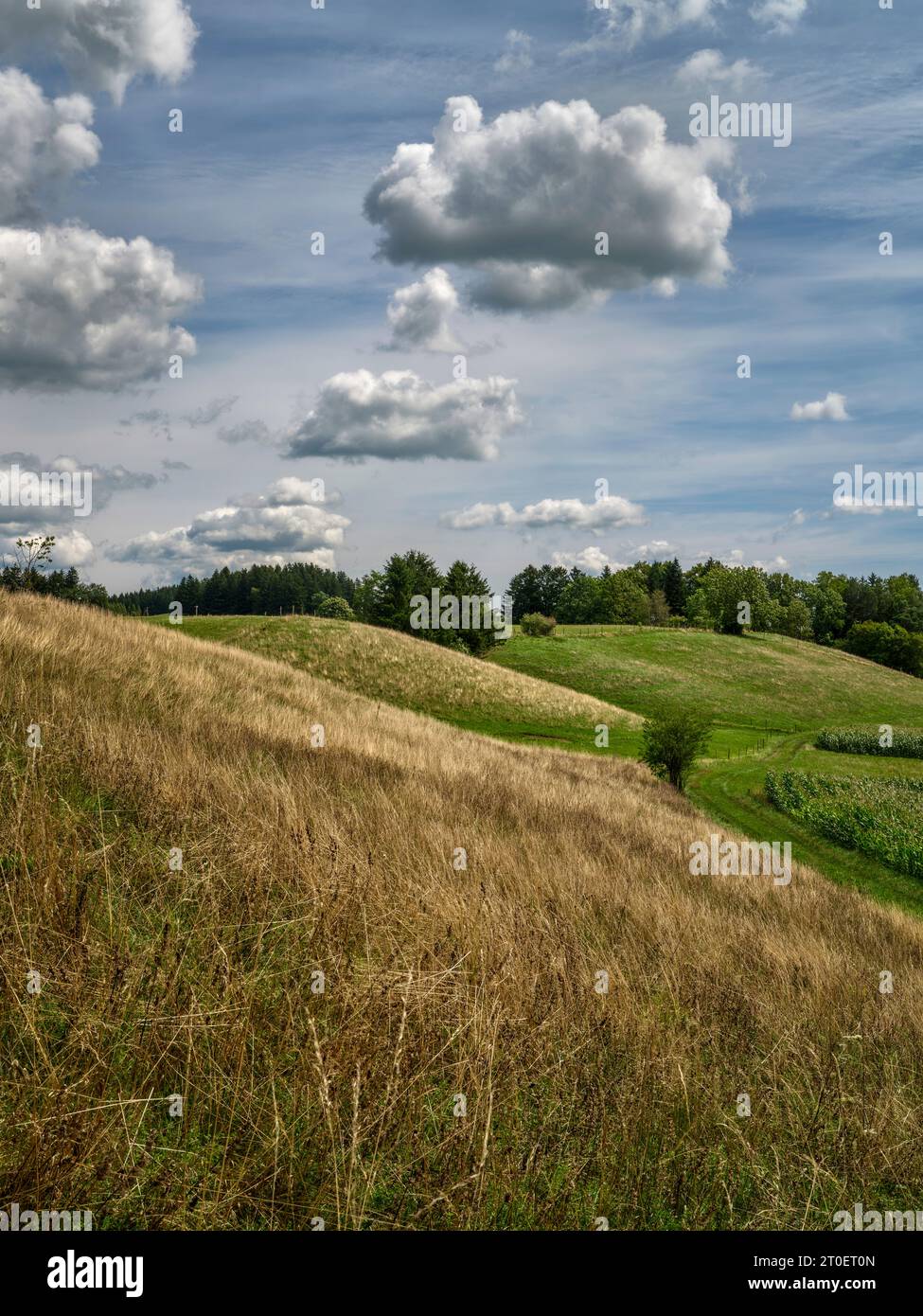 Terminal moraine of the Lech glacier (Schongau tongue) during the Würme ...