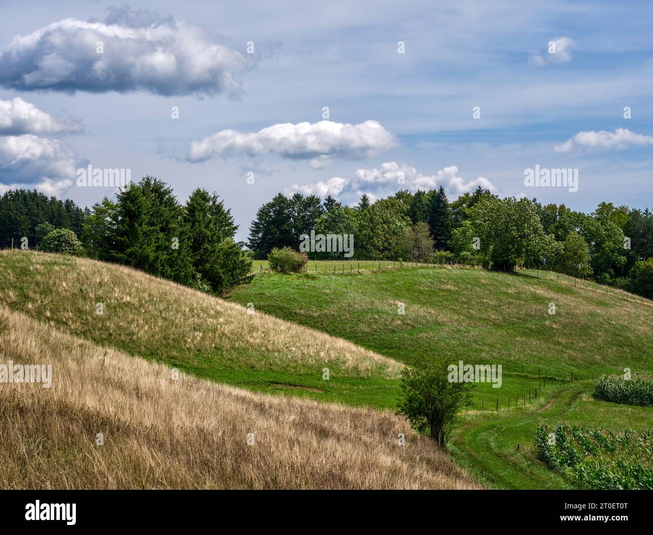 Terminal moraine of the Lech glacier (Schongau tongue) during the Würme ...