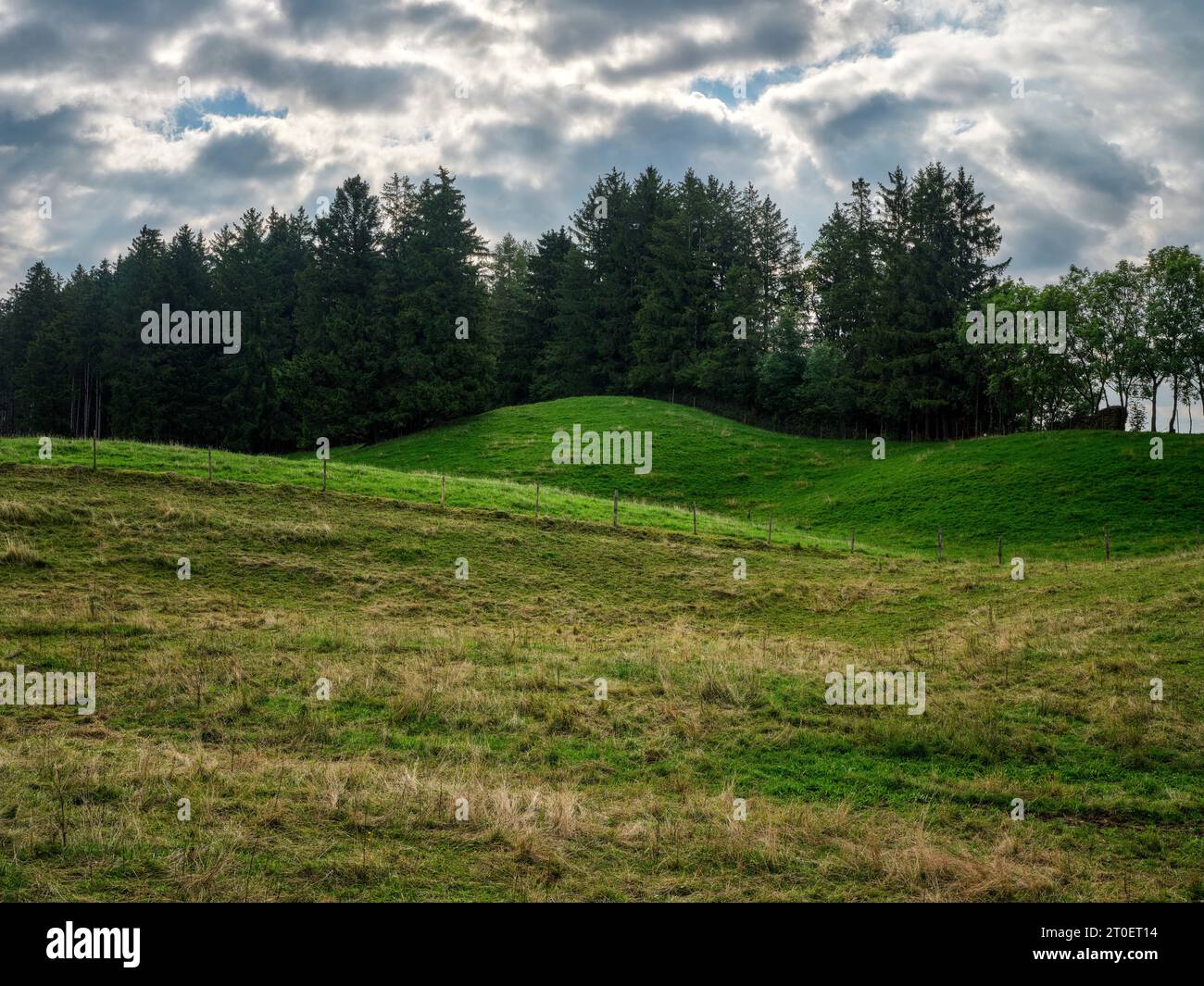 Terminal moraine of the Lech glacier (Schongau tongue) during the Würme ...
