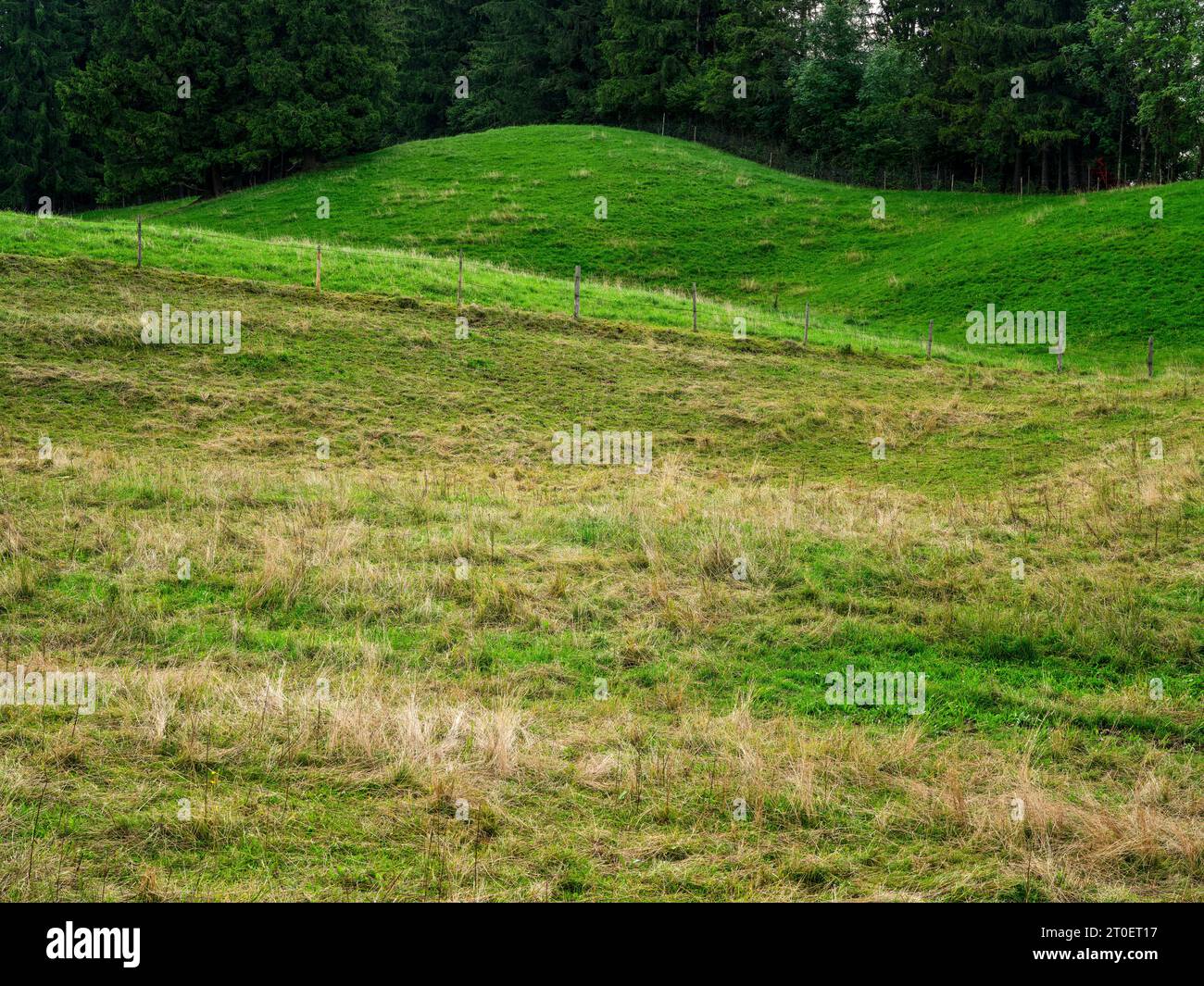 Terminal moraine of the Lech glacier (Schongau tongue) during the Würme ...