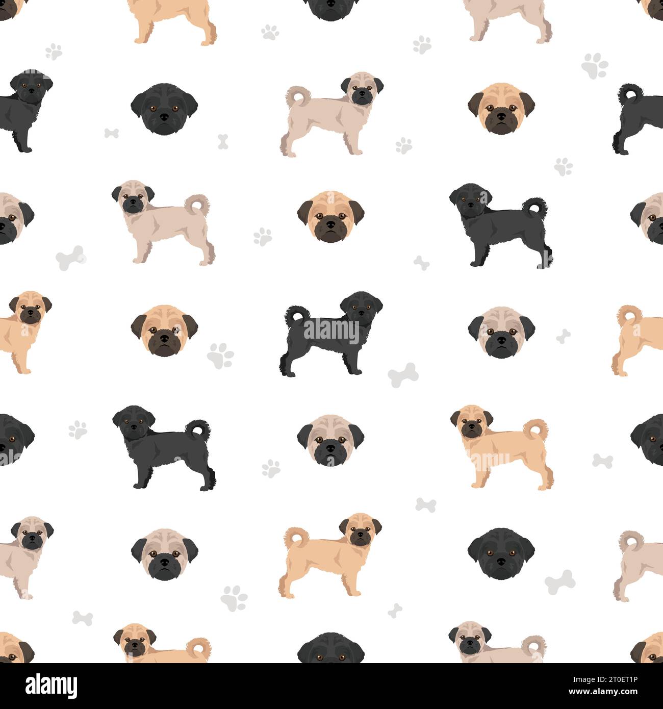 Pugapoo seamless pattern. Pug Poodle mix. Different coat colors set ...