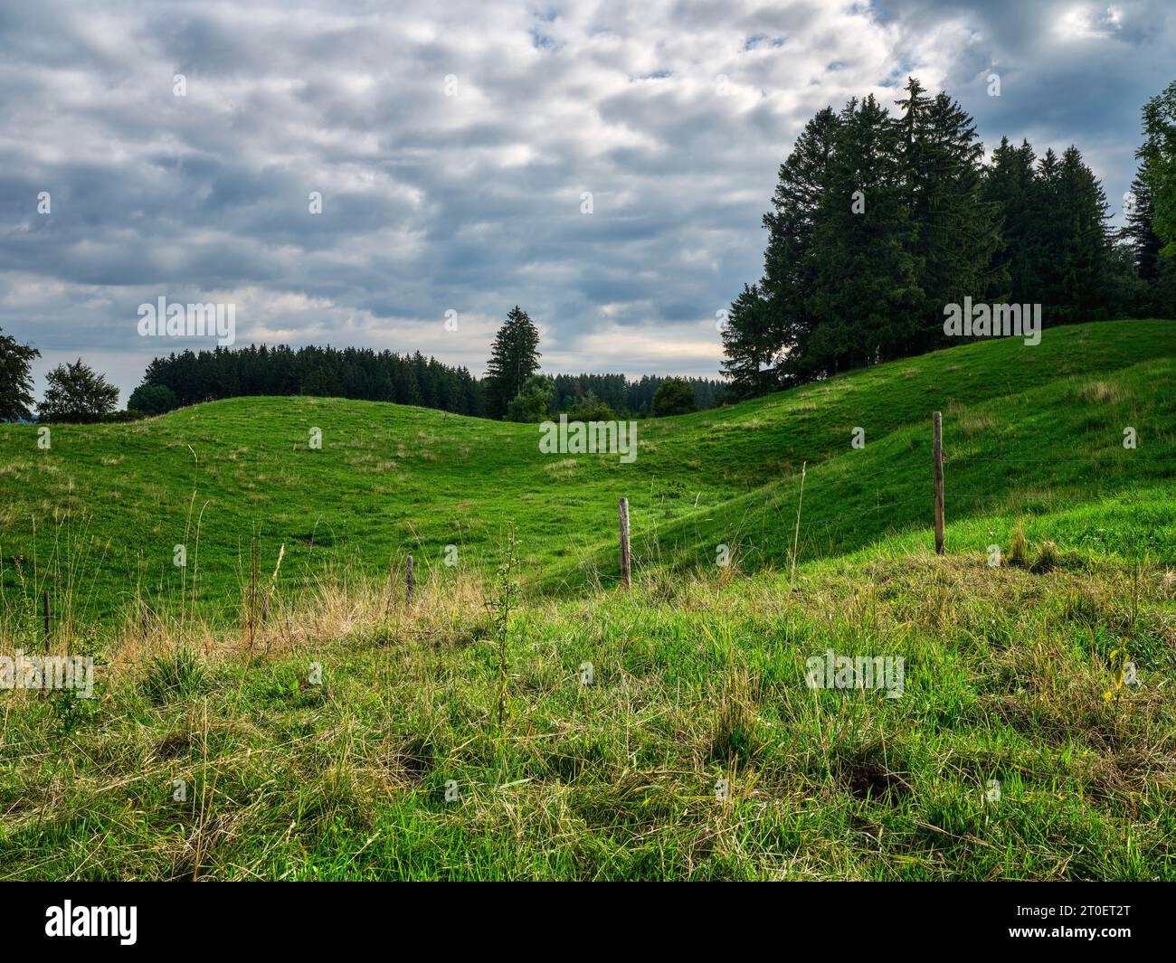 Terminal moraine of the Lech glacier (Schongau tongue) during the Würme ...