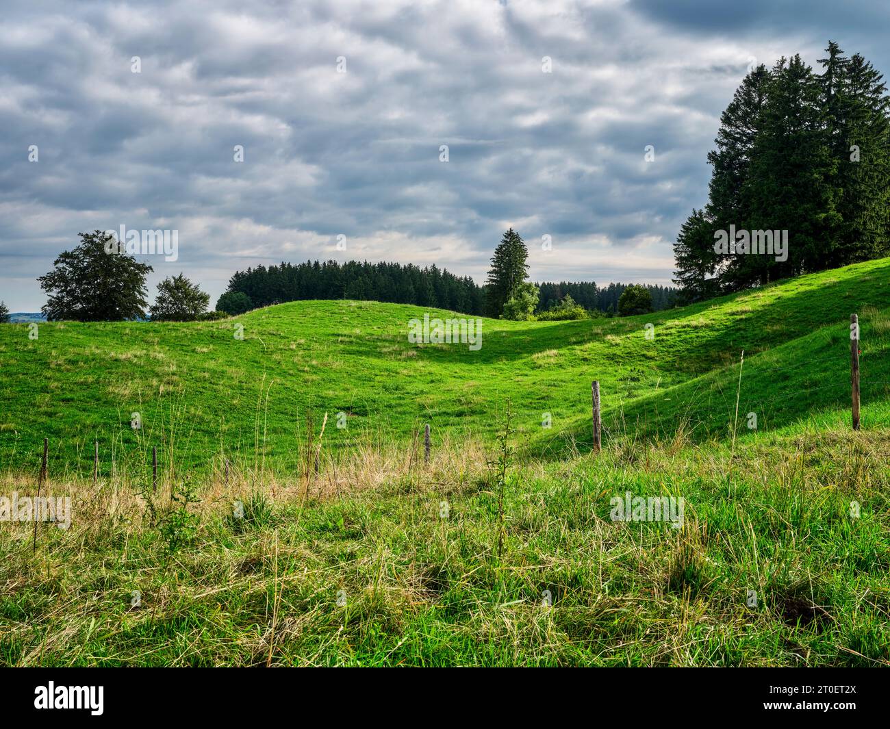 Terminal moraine of the Lech glacier (Schongau tongue) during the Würme ...