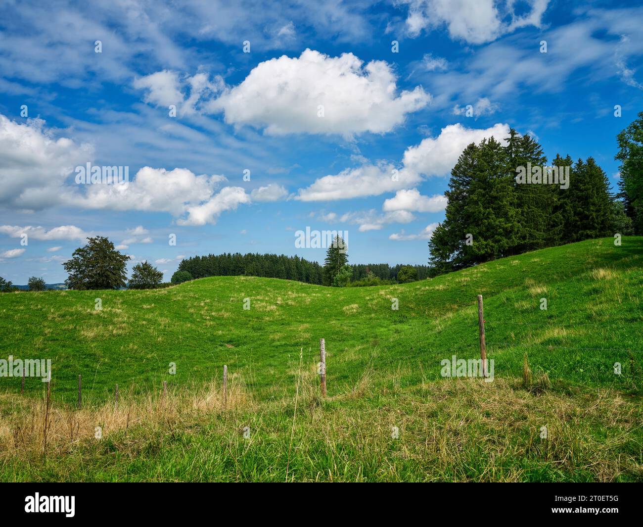 Terminal moraine of the Lech glacier (Schongau tongue) during the Würme ...