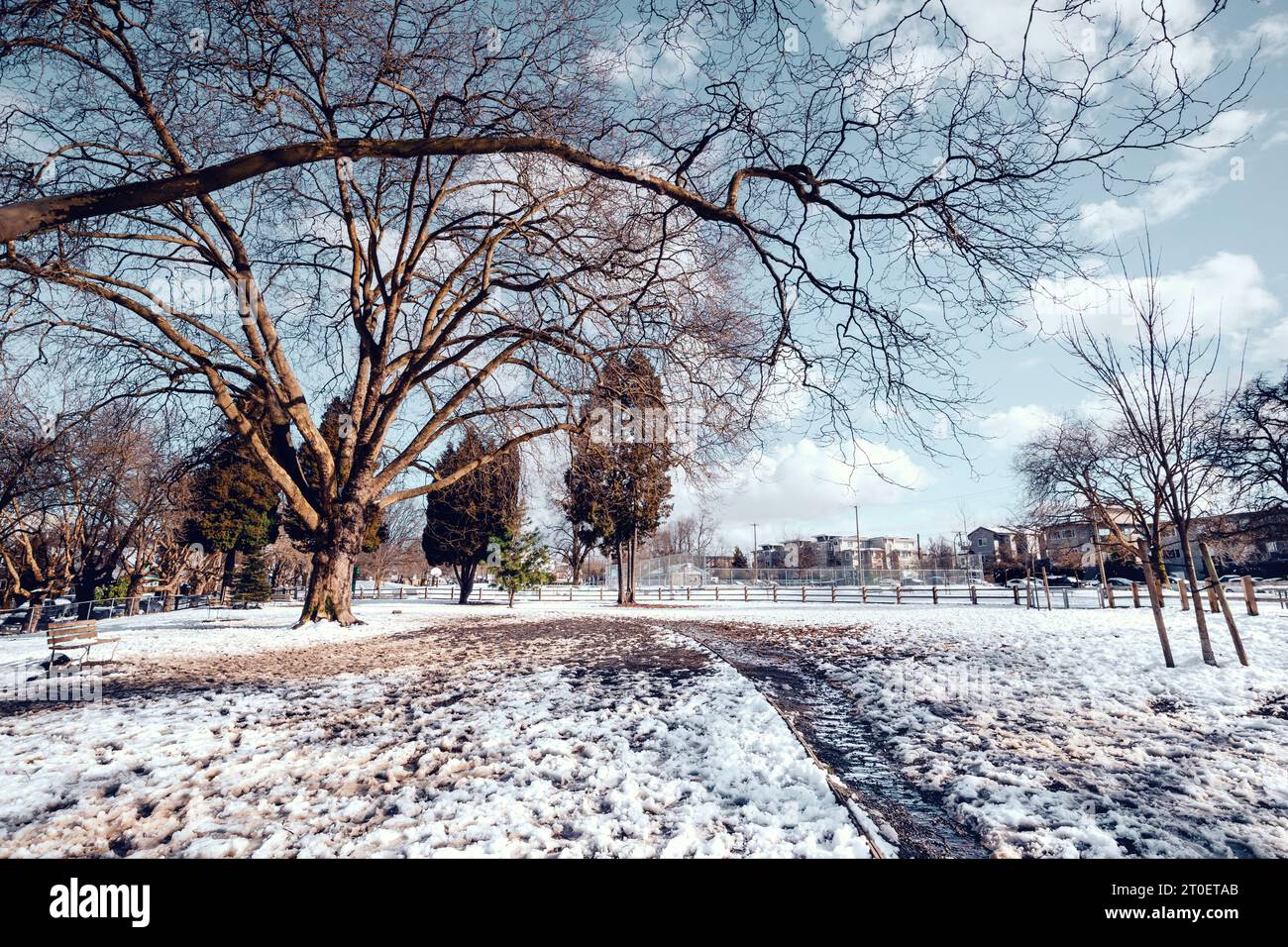 Sunny winter day at the park after snowfall in city or residential area ...