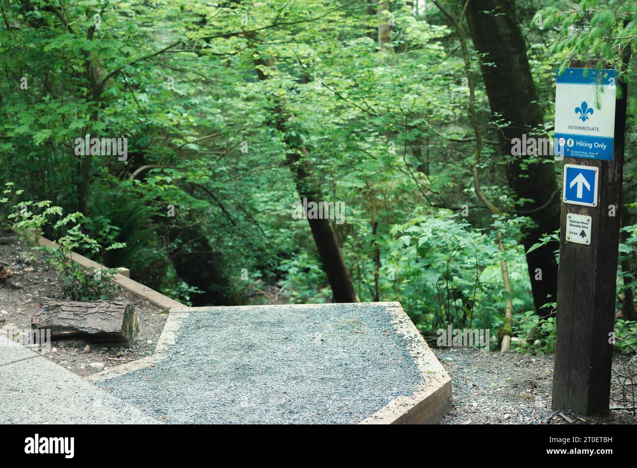 Hiking trail entrance in forest with trail post signage. Summer rainforest background scene at ...