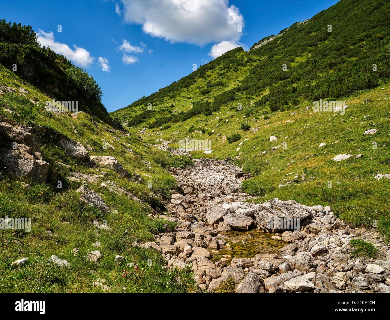 On the way along the Vorarlberg Lech in the Lechquellengebirge between ...