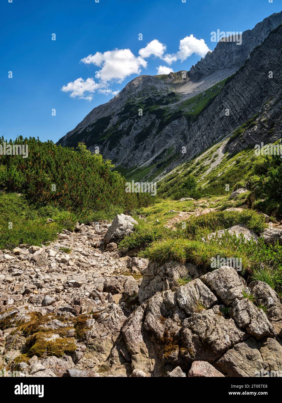 On the way along the Vorarlberg Lech in the Lechquellengebirge between ...