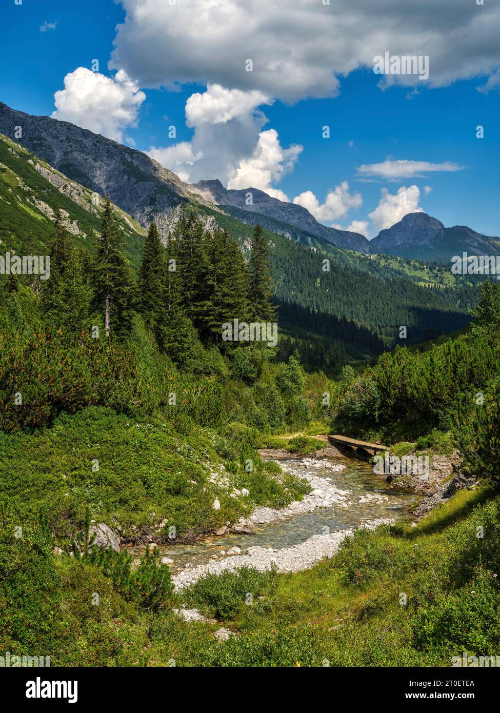 On the way along the Vorarlberg Lech in the Lechquellengebirge between ...