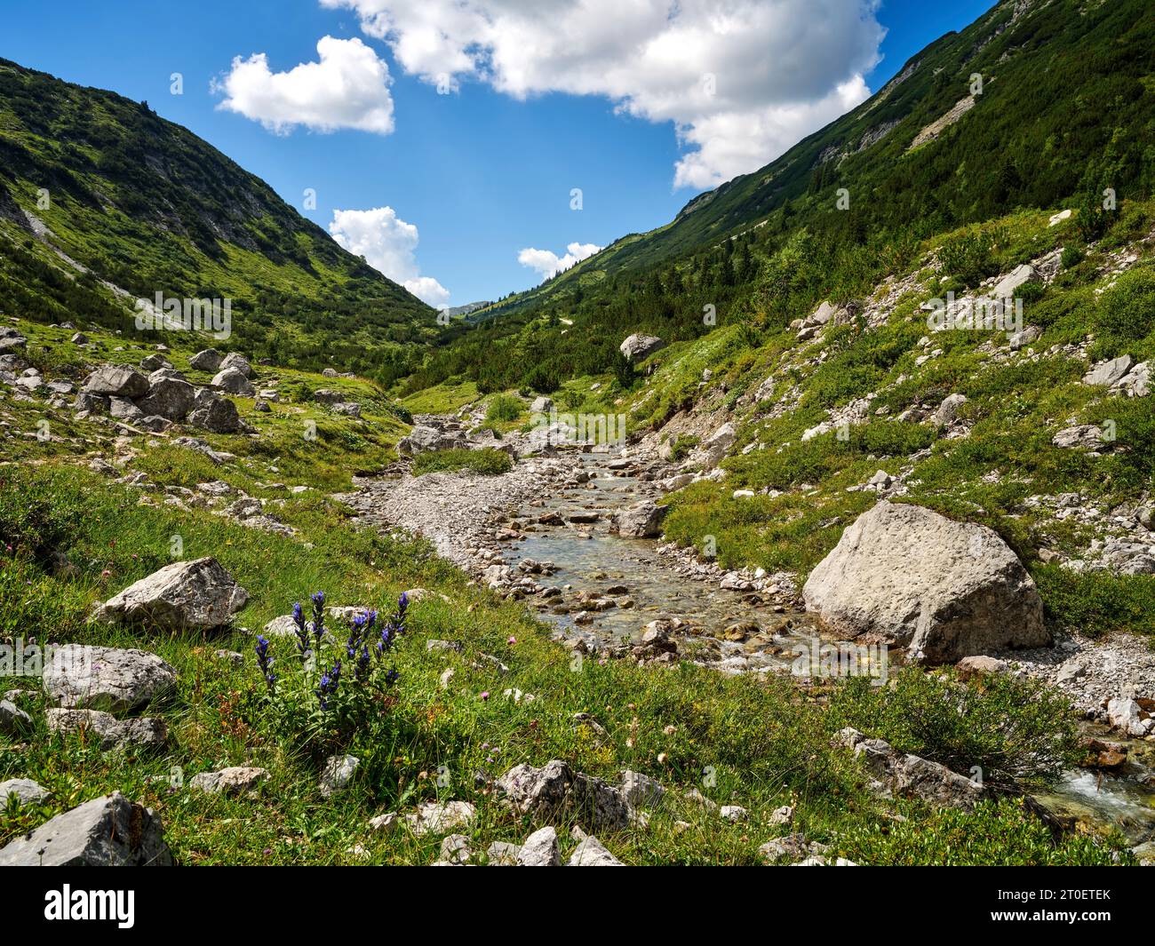 On the way along the Vorarlberg Lech in the Lechquellengebirge between ...