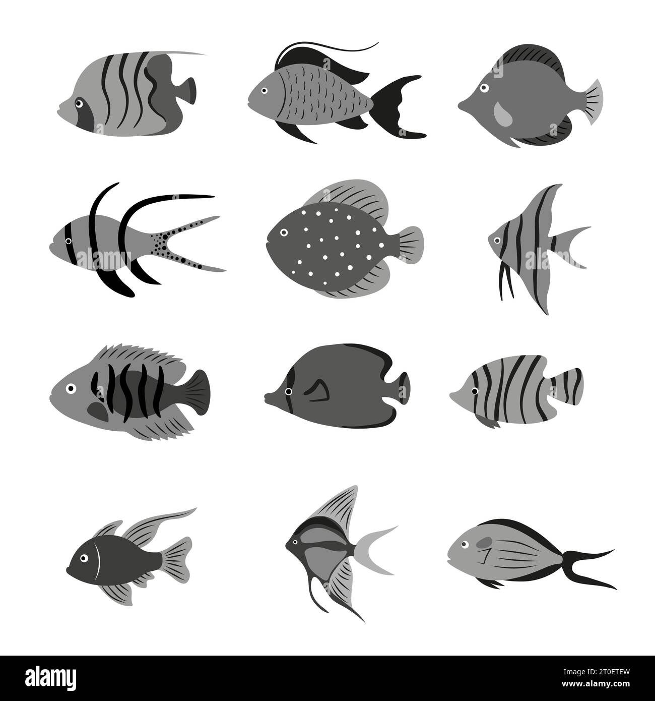 Tropical Fish Silhouette