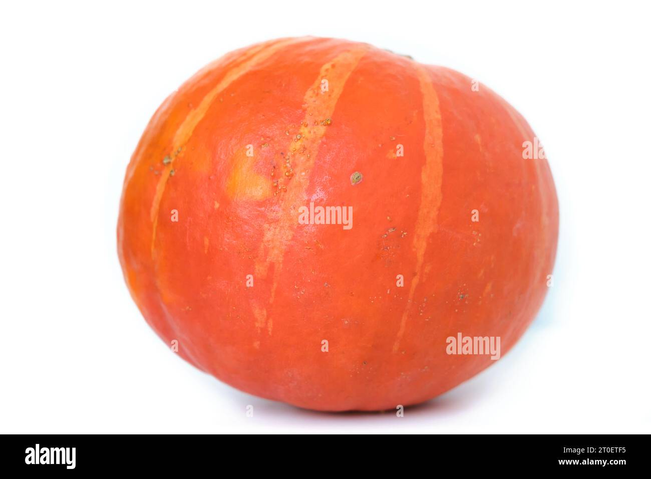 Side view of striped orange hokkaido pumpkin (Cucurbita maxima) on ...