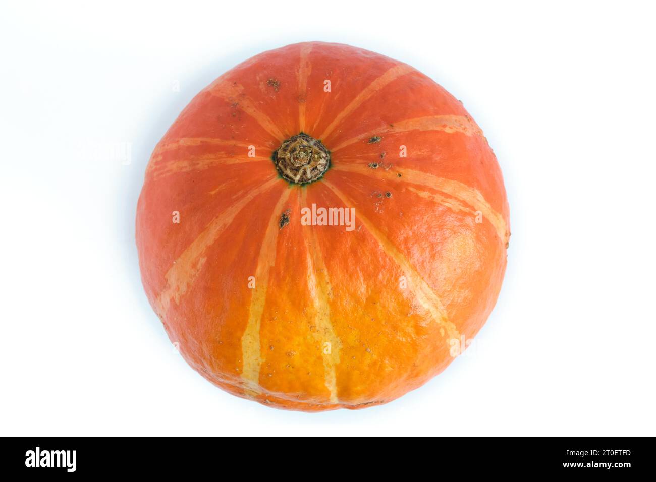 Top view / bottom view of striped orange hokkaido pumpkin (Cucurbita ...