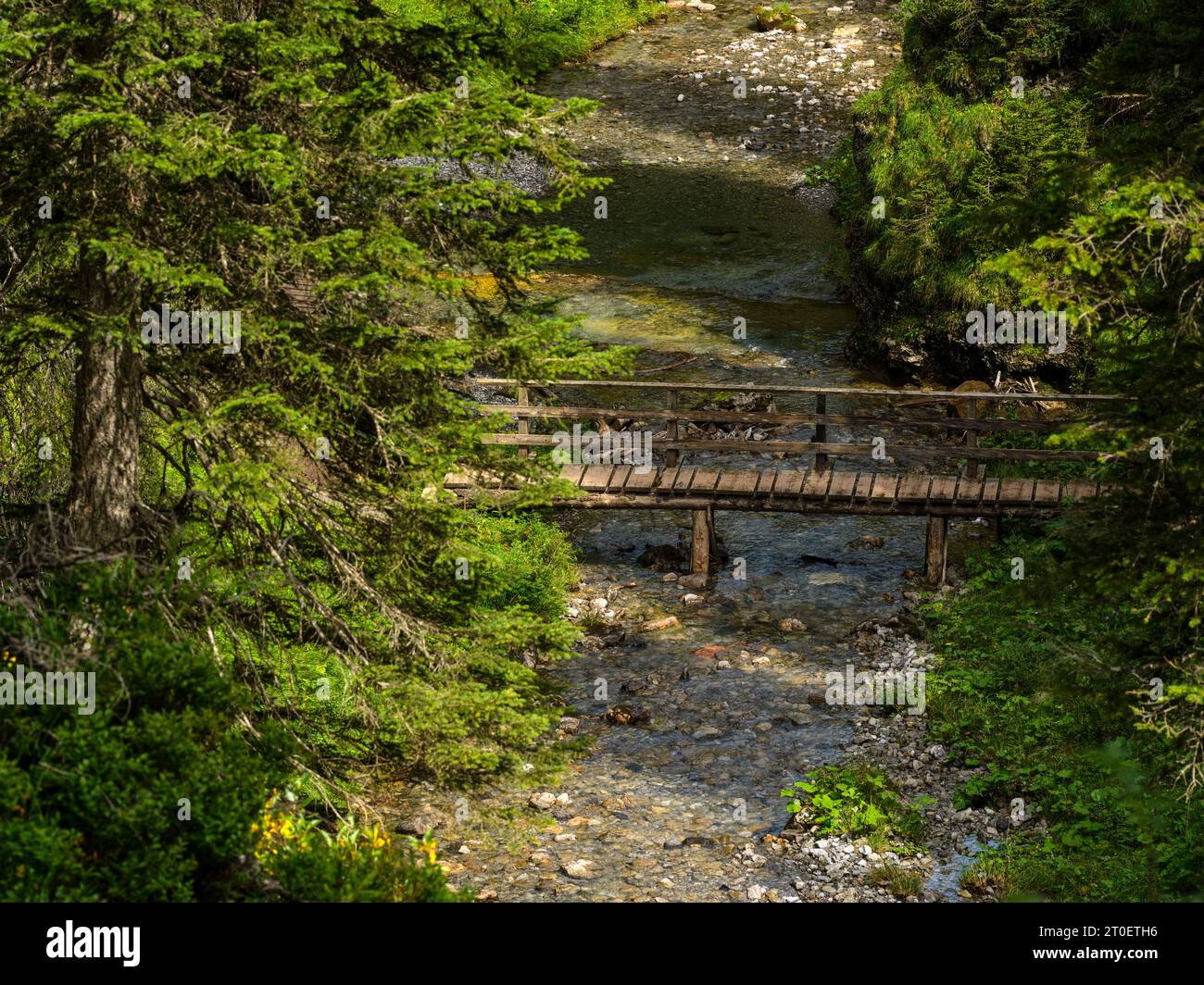 Hiking trail along the Spullerbach stream above Lech Stock Photo - Alamy