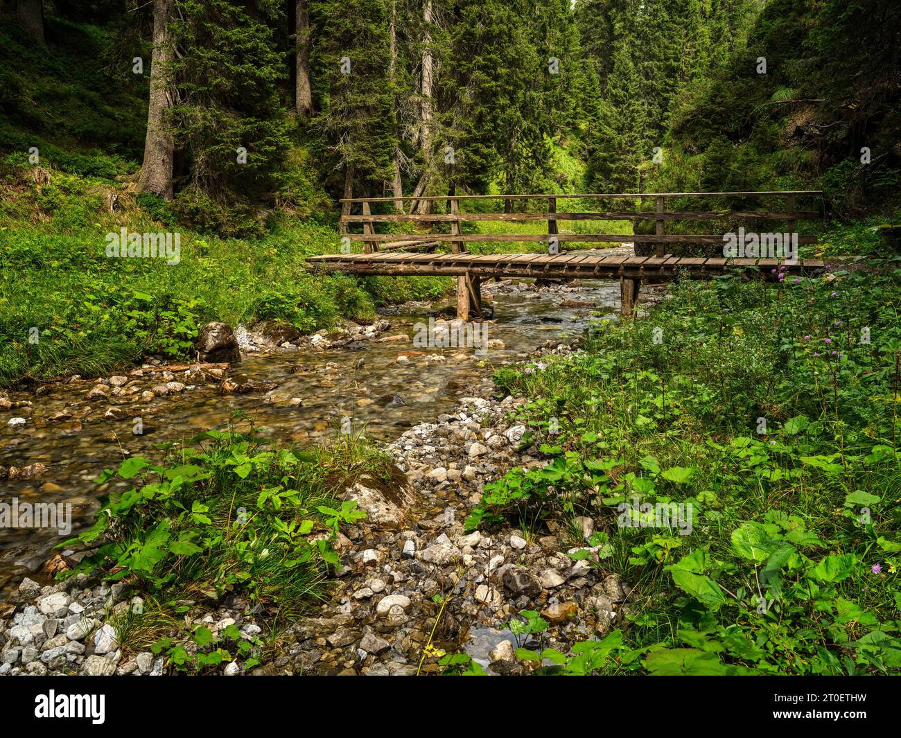Hiking trail along the Spullerbach stream above Lech Stock Photo - Alamy