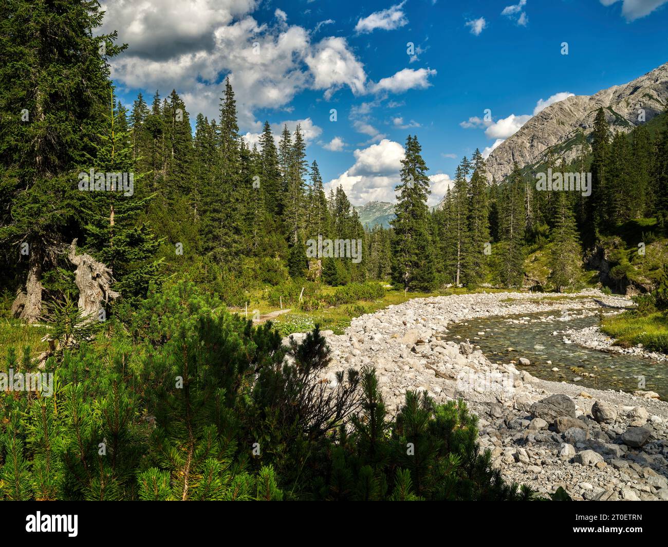 On the way along the Vorarlberg Lech in the Lechquellengebirge between ...