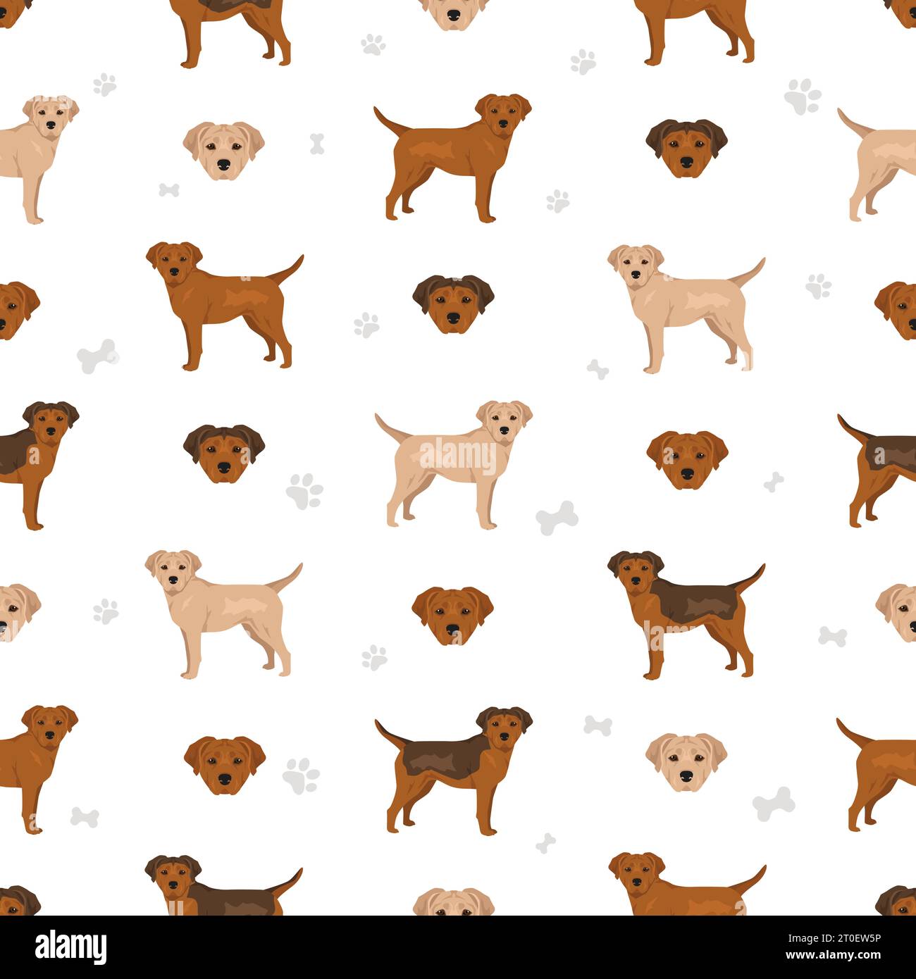 Sharp Eagle seamless pattern. Shar Pei - Beagle mix. Different coat ...