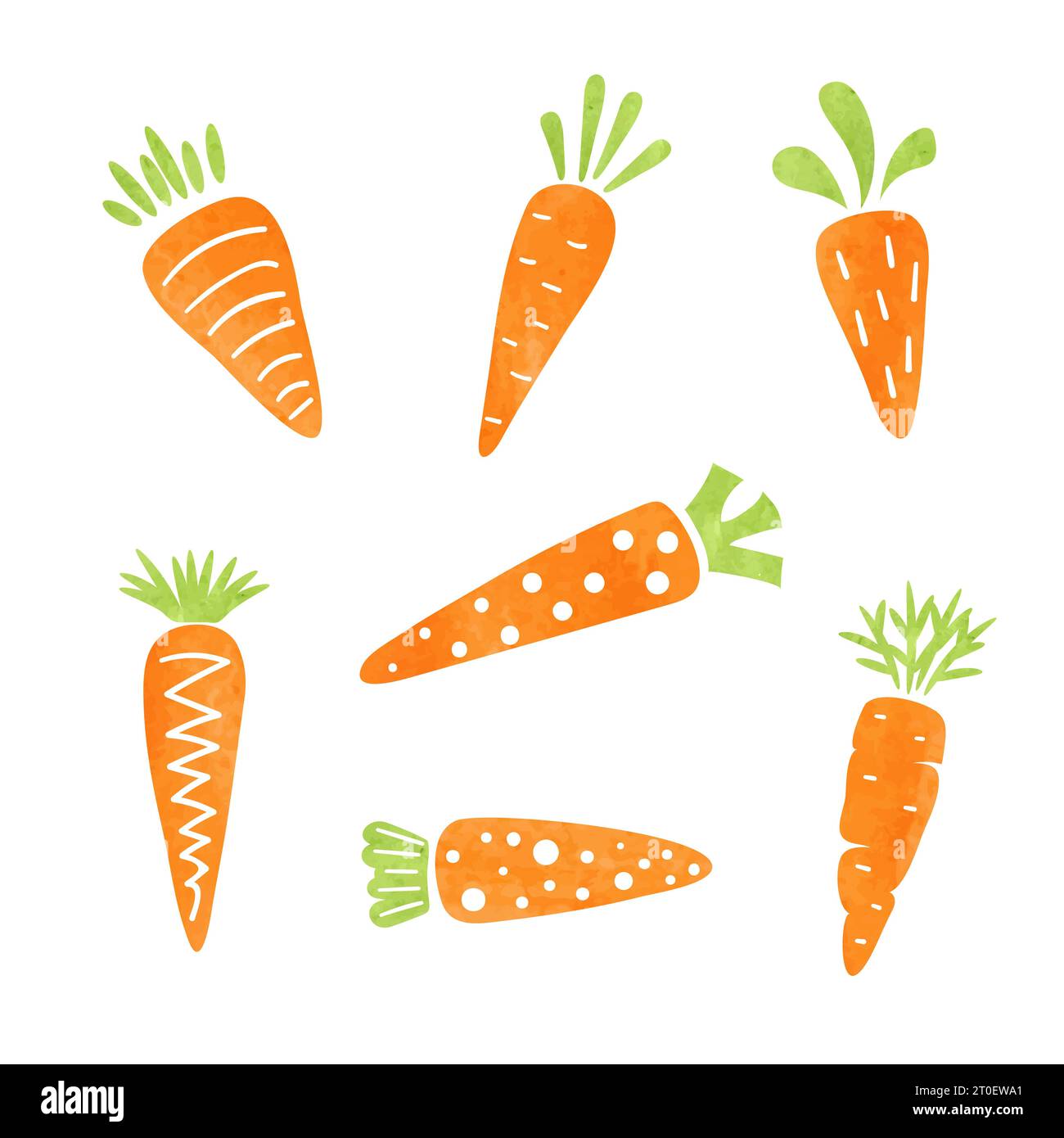 Cartoon carrots set. Vector watercolor vegetables illustration Stock ...