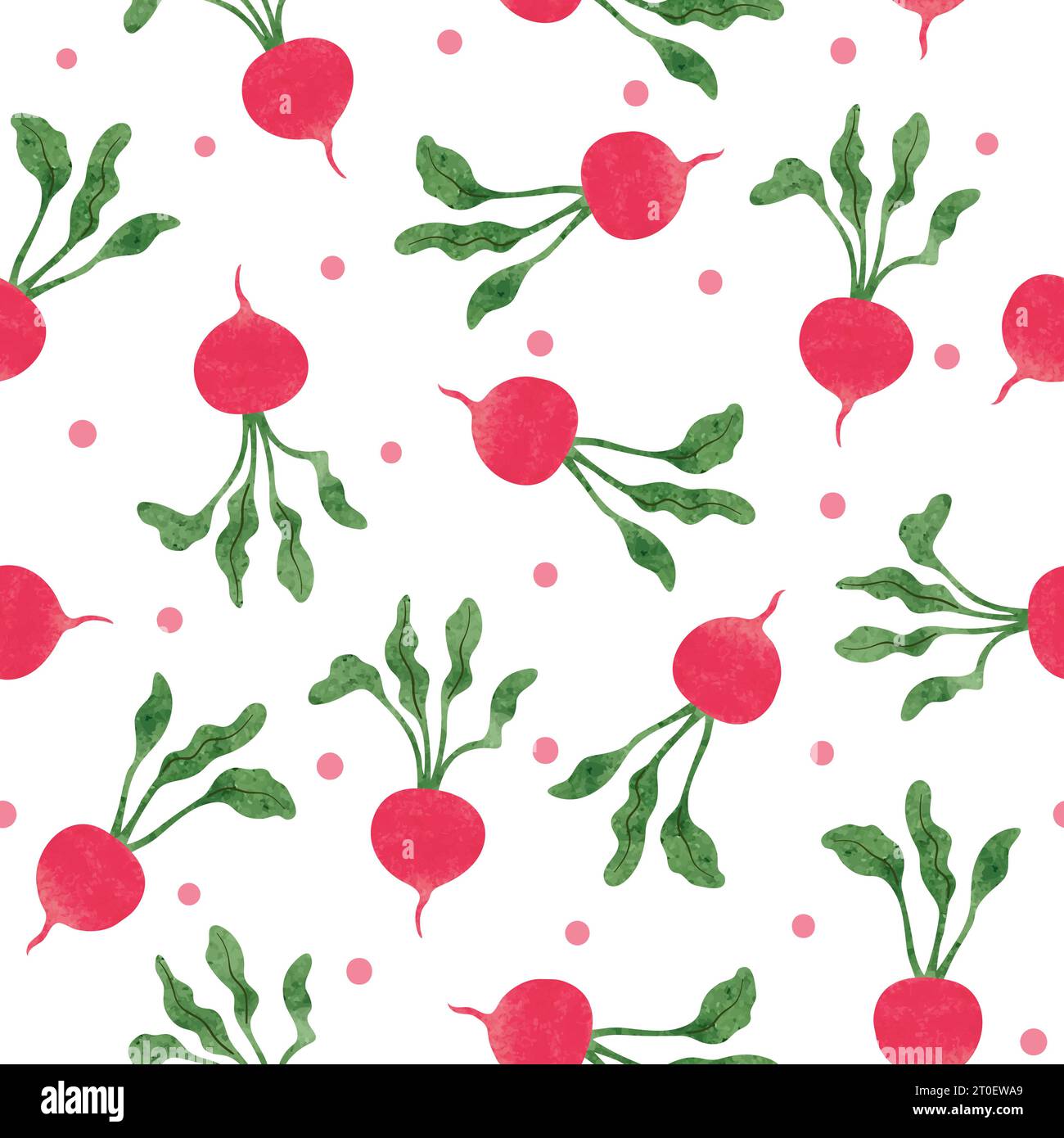Seamless radish pattern. Vector vegetable background. Watercolor ...