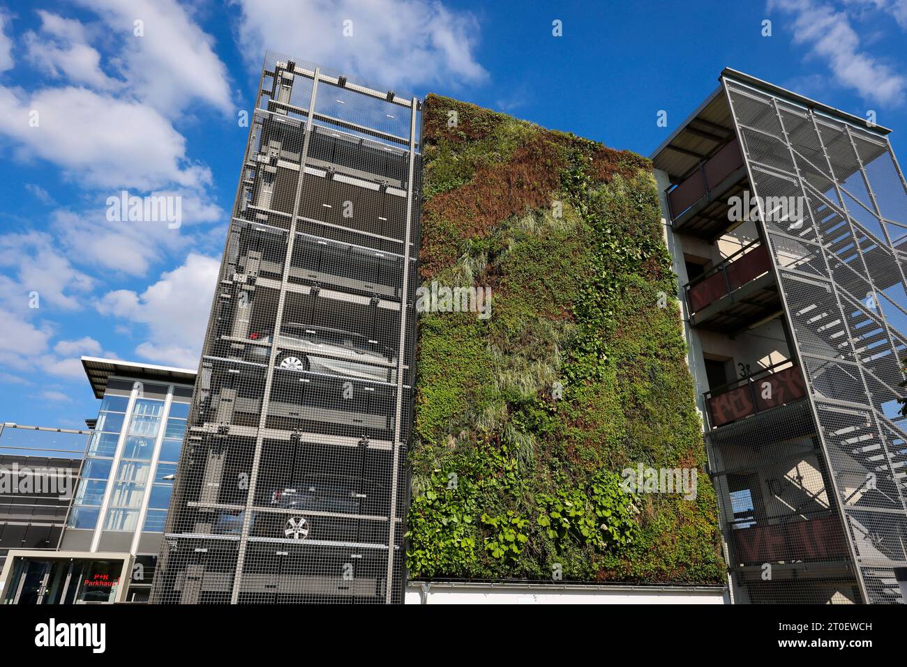 Bottrop, North Rhine-Westphalia, Germany, Wall-bound facade greening at ...