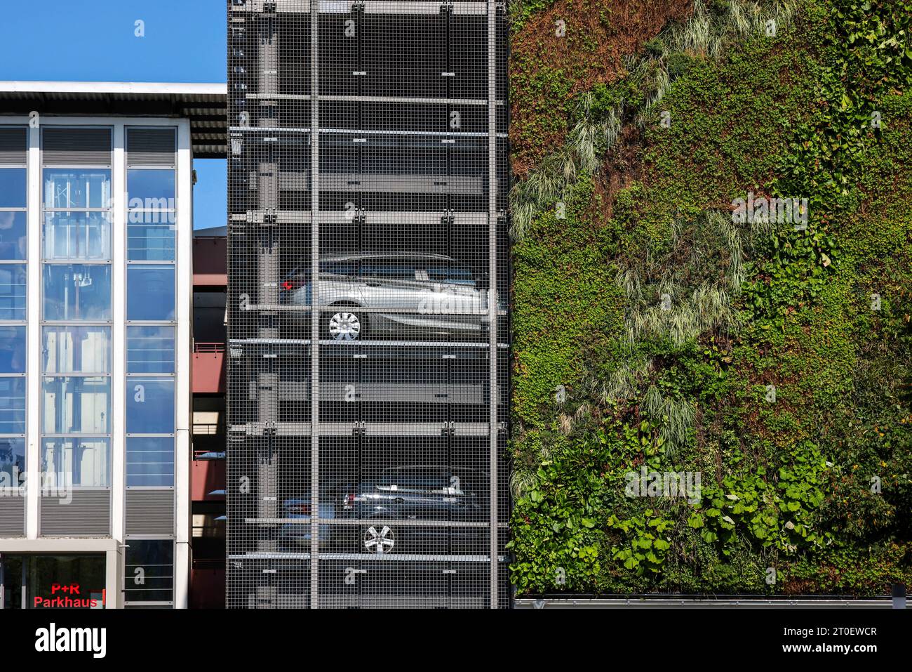Bottrop, North Rhine-Westphalia, Germany, Wall-bound facade greening at ...
