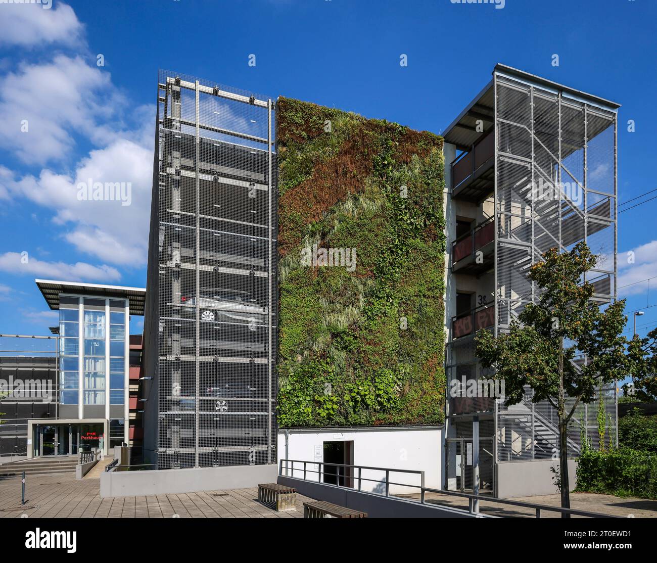 Bottrop, North Rhine-Westphalia, Germany, Wall-bound facade greening at ...