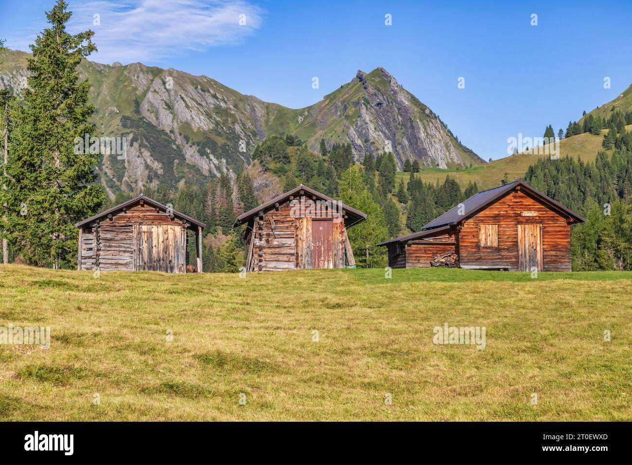 Traditional wooden alpine house hi-res stock photography and images - Alamy