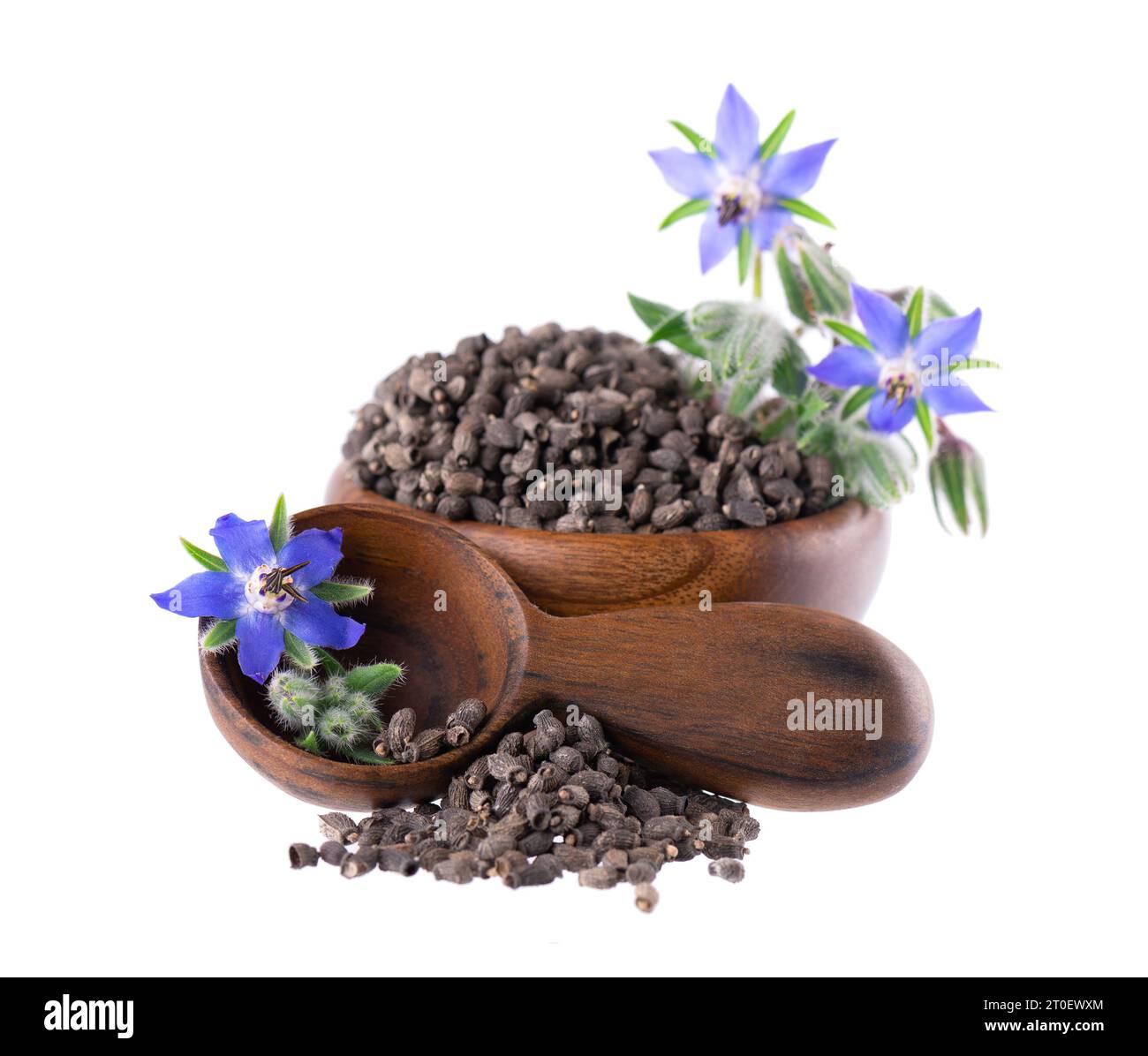 Borage seeds with flowers in wooden bowl, isolated on a white ...