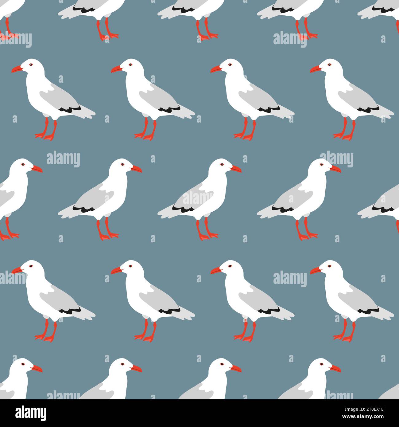 Seamless pattern with cute seagulls. Vector marine illustration with ...