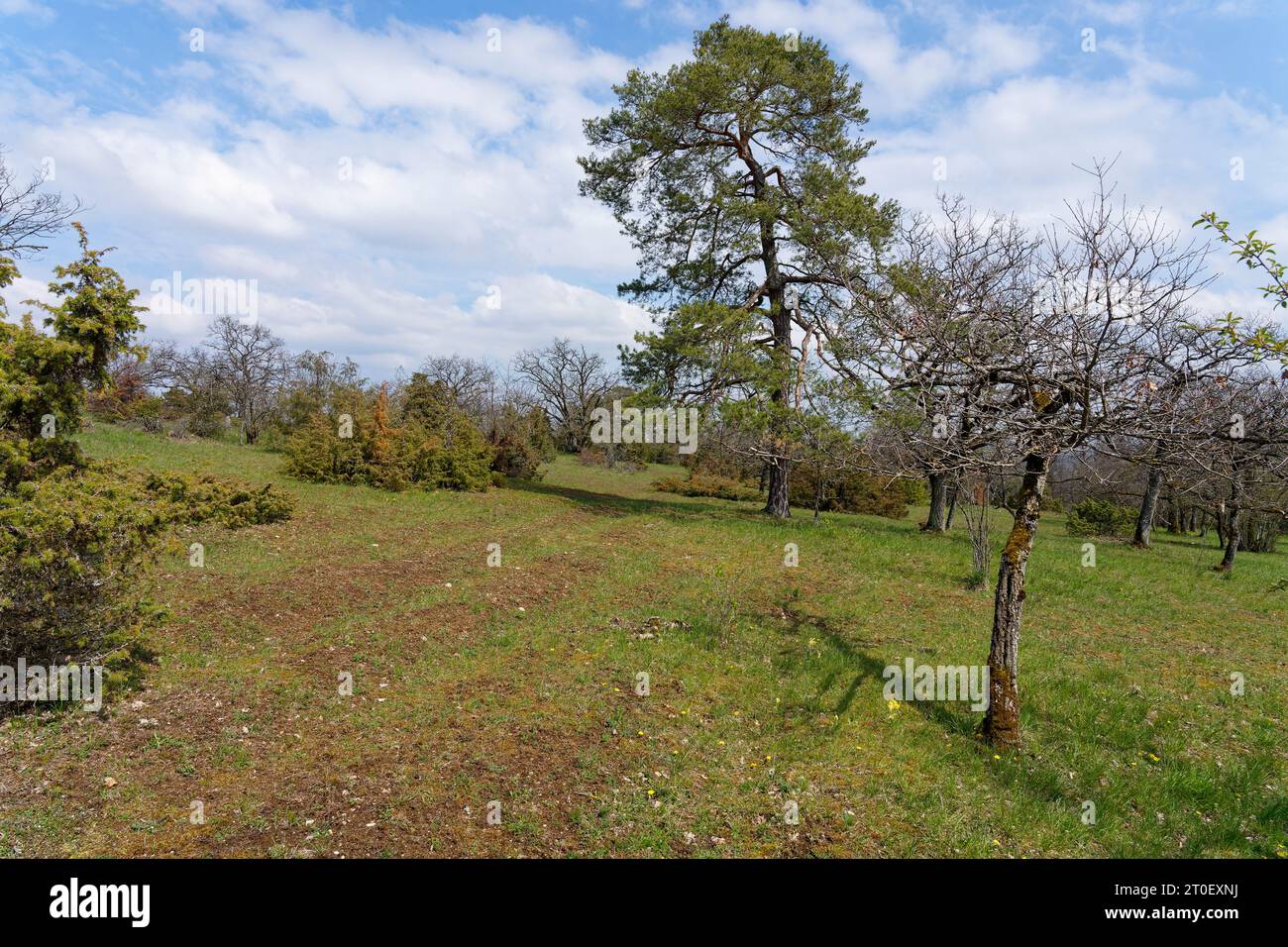 Landscape in the nature reserve Rammersberg near Karlstadt, Main ...