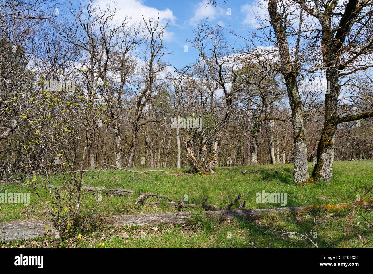 Nature reserve rammersberg hi-res stock photography and images - Alamy