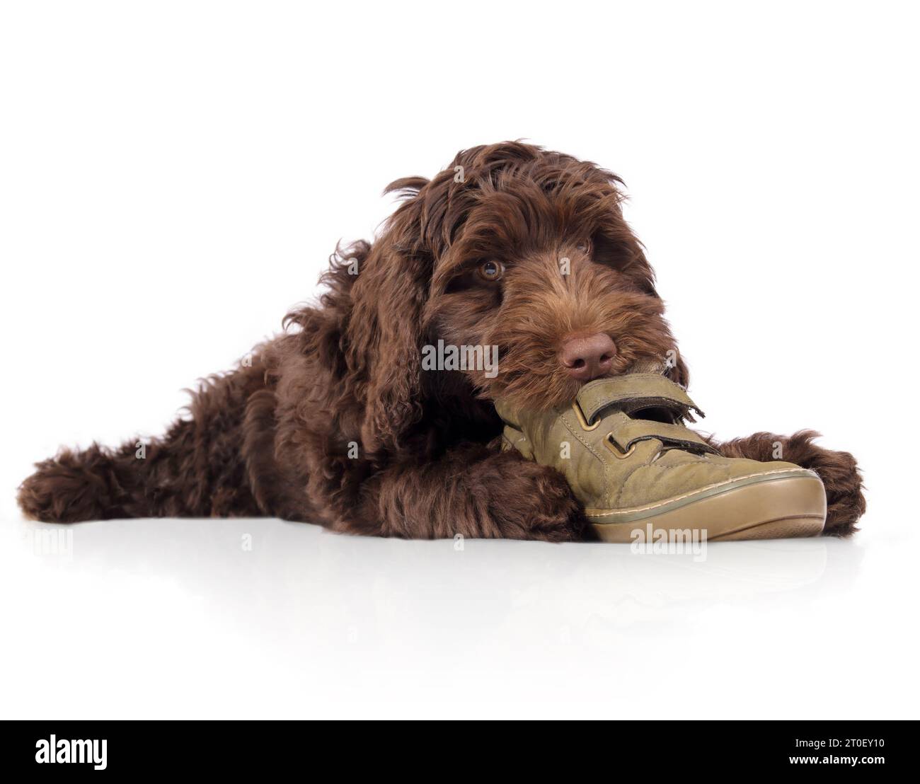 Old vancouver Cut Out Stock Images & Pictures - Alamy