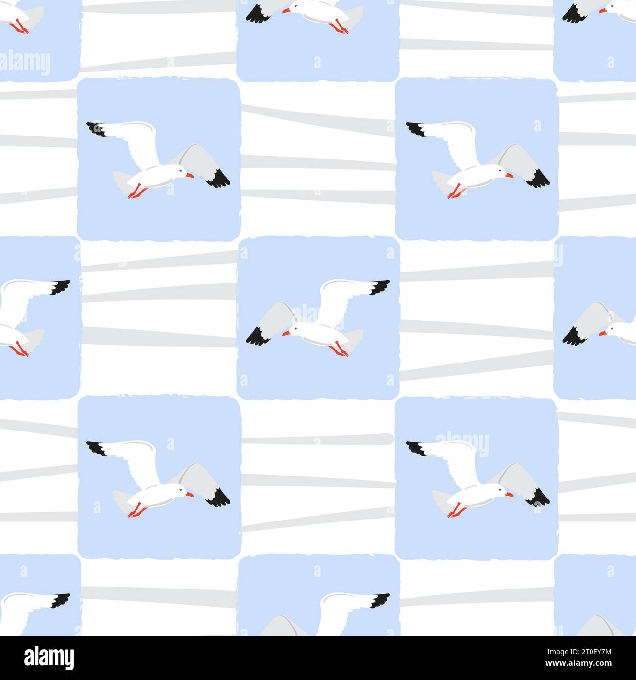Baby seagull Cut Out Stock Images & Pictures - Alamy