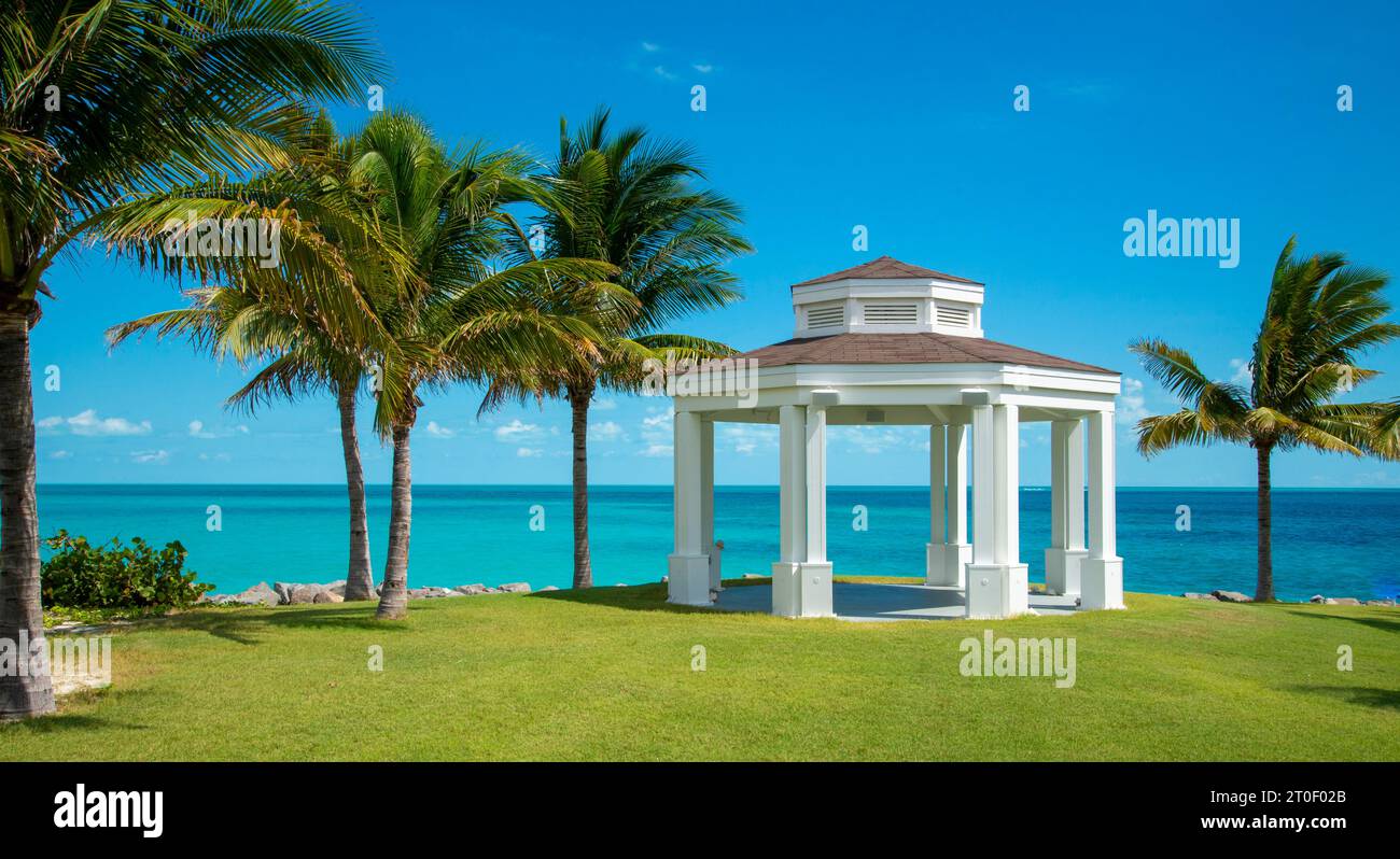 Beautiful beach scenery in Ocean Cay --MSC Marine reserve the Bahamas ...
