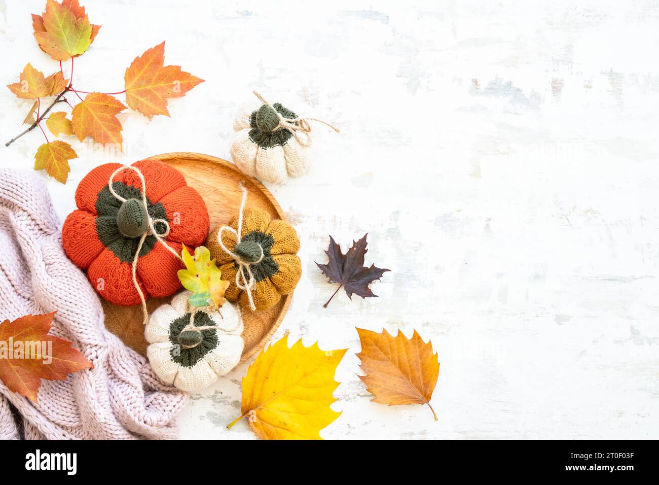 Autumn table setting on white background Stock Photo - Alamy