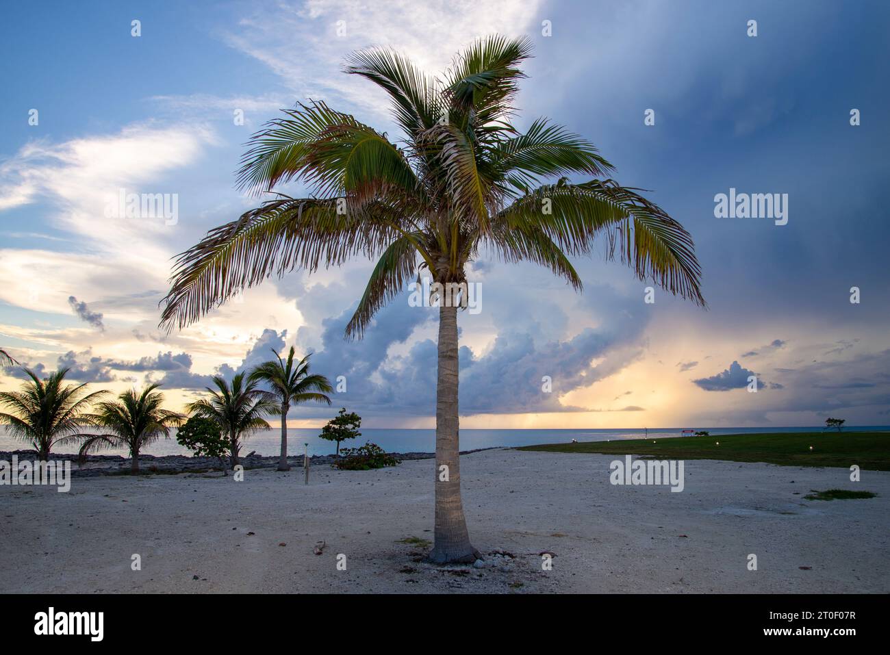 Beautiful beach scenery in Ocean Cay --MSC Marine reserve the Bahamas ...