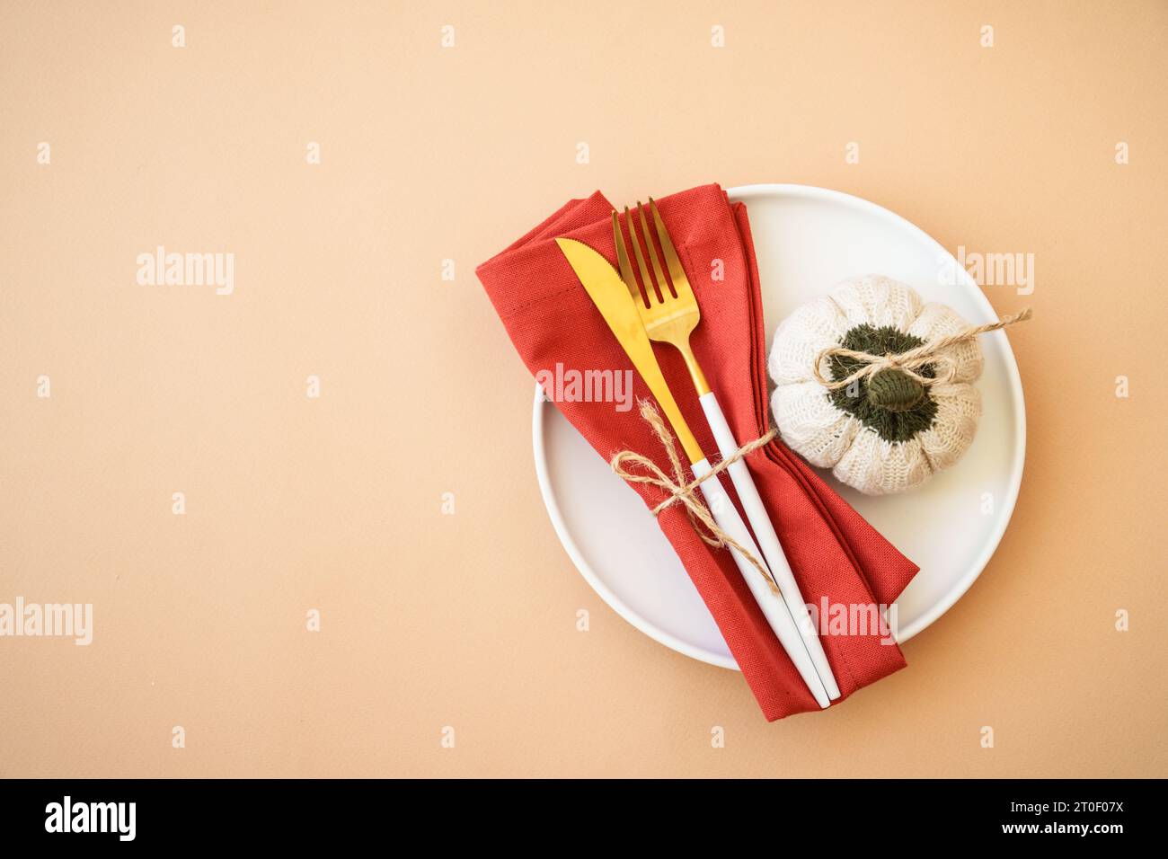 Thanksgiving table top view on color background Stock Photo - Alamy