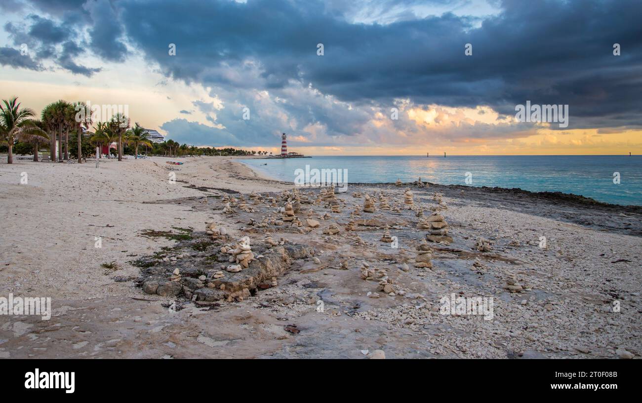 Beautiful beach scenery in Ocean Cay --MSC Marine reserve the Bahamas ...